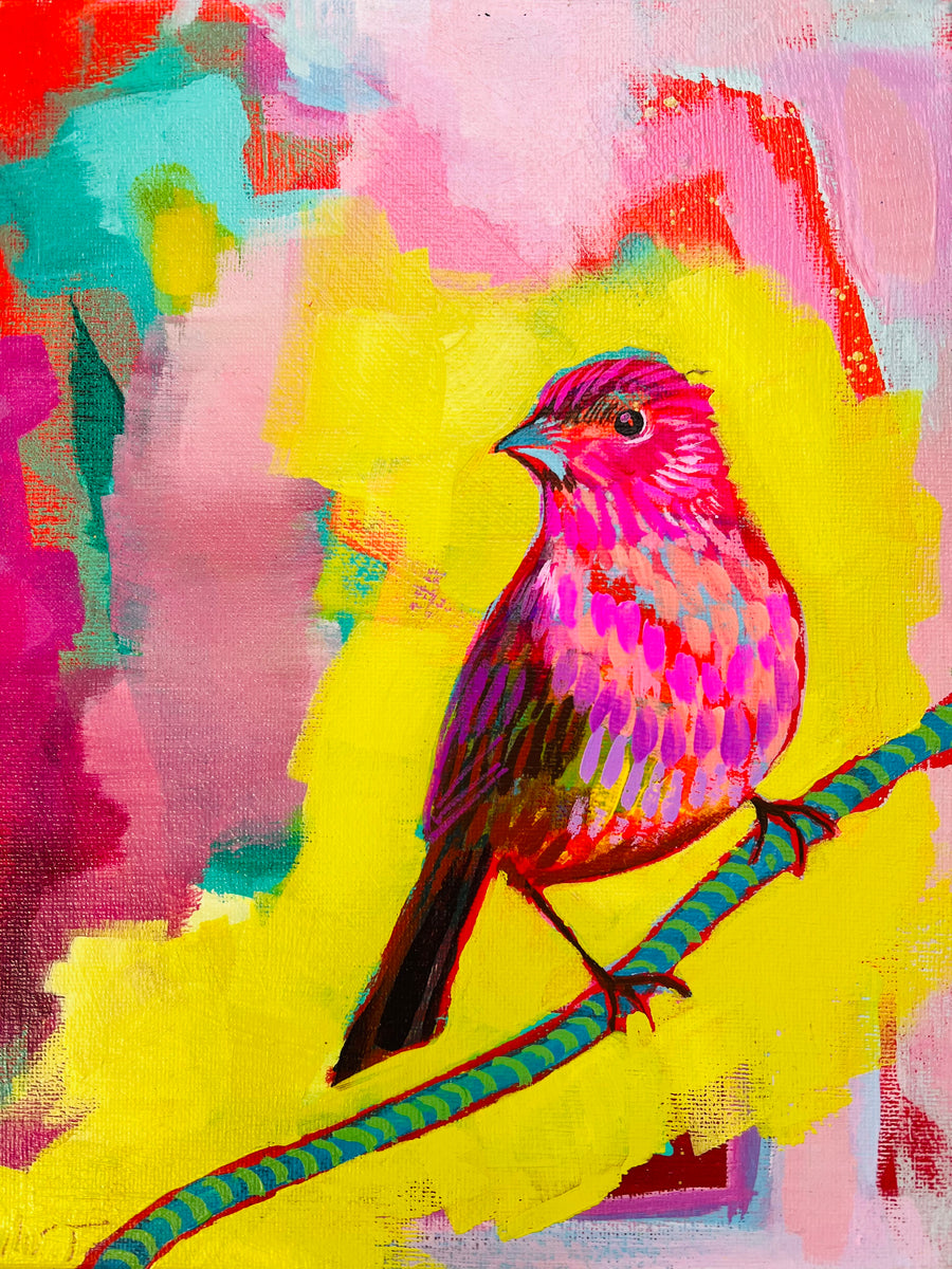 Birds – Canvas + Kind